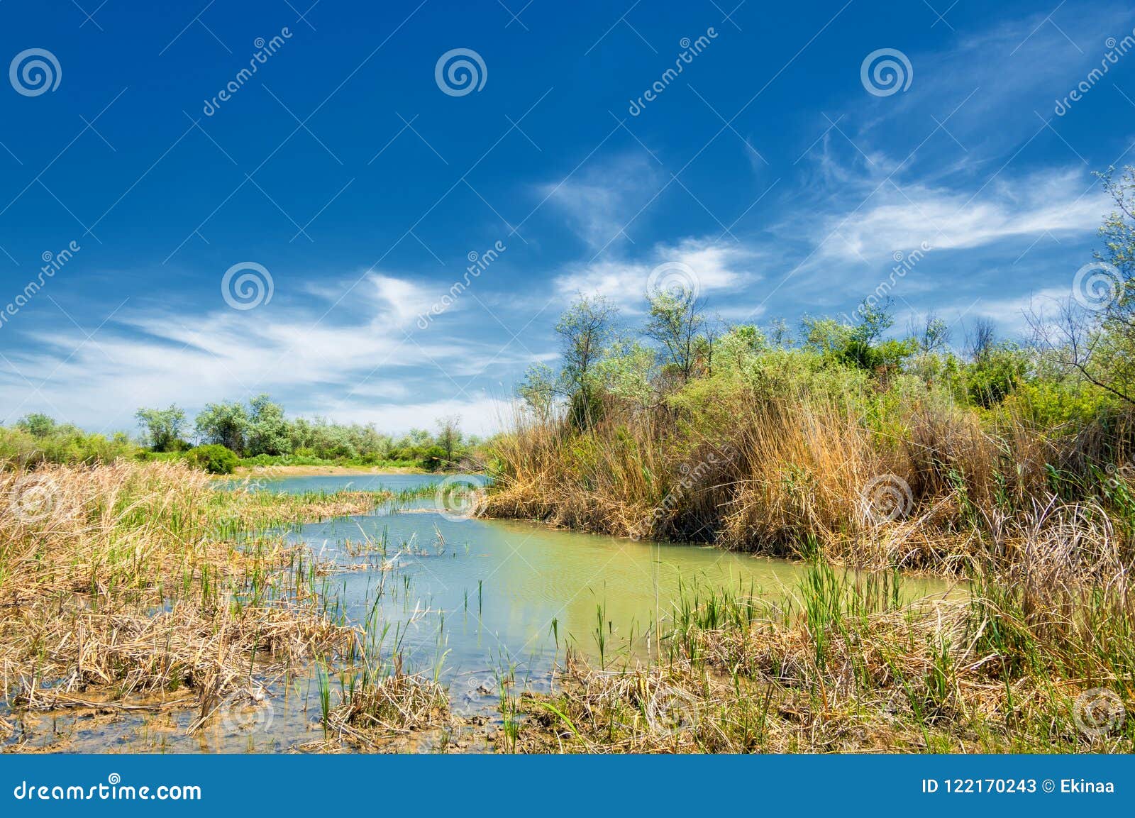 River, Stream, Flood, Effluent, Ford, Nulla Stock Image - Image of ...