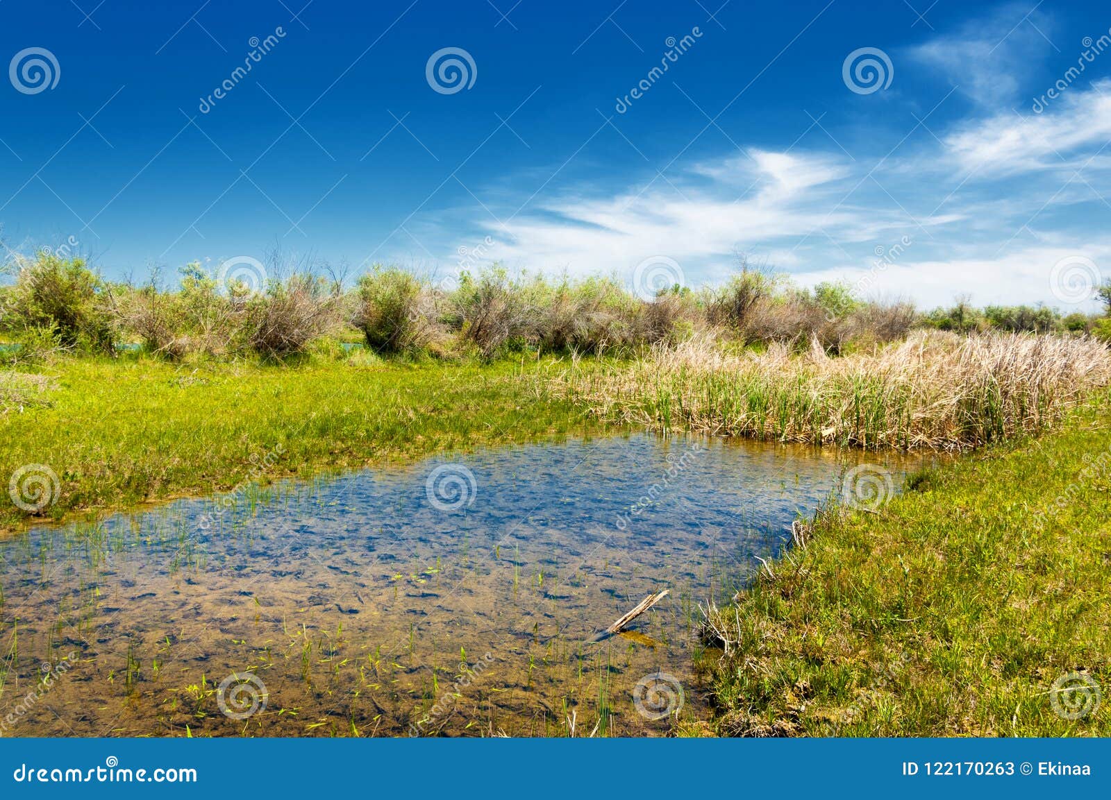 River, Stream, Flood, Effluent, Ford, Nulla Stock Image - Image of ...