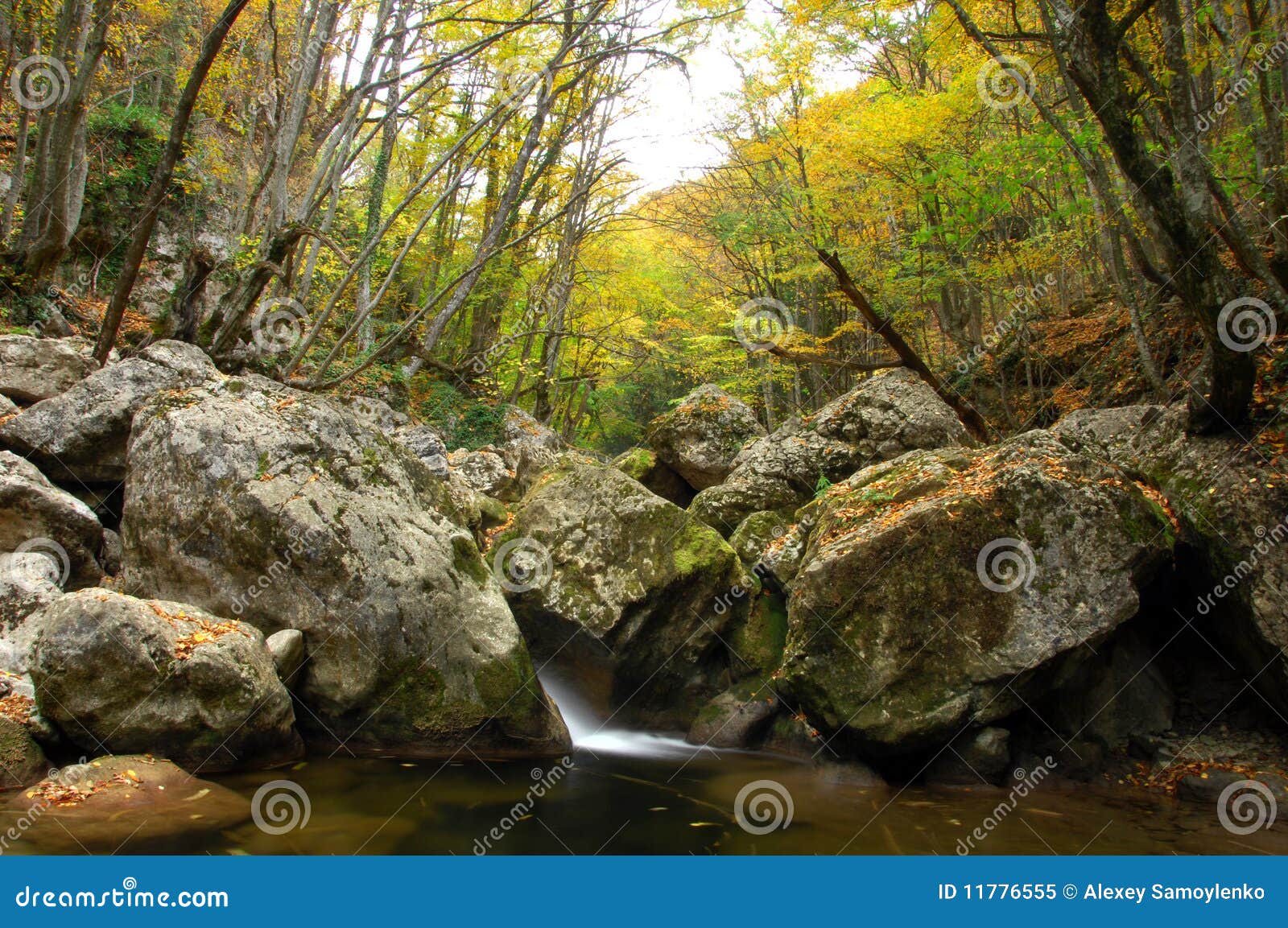 River Stream in High Mountain in Autumn Stock Image - Image of lonely ...