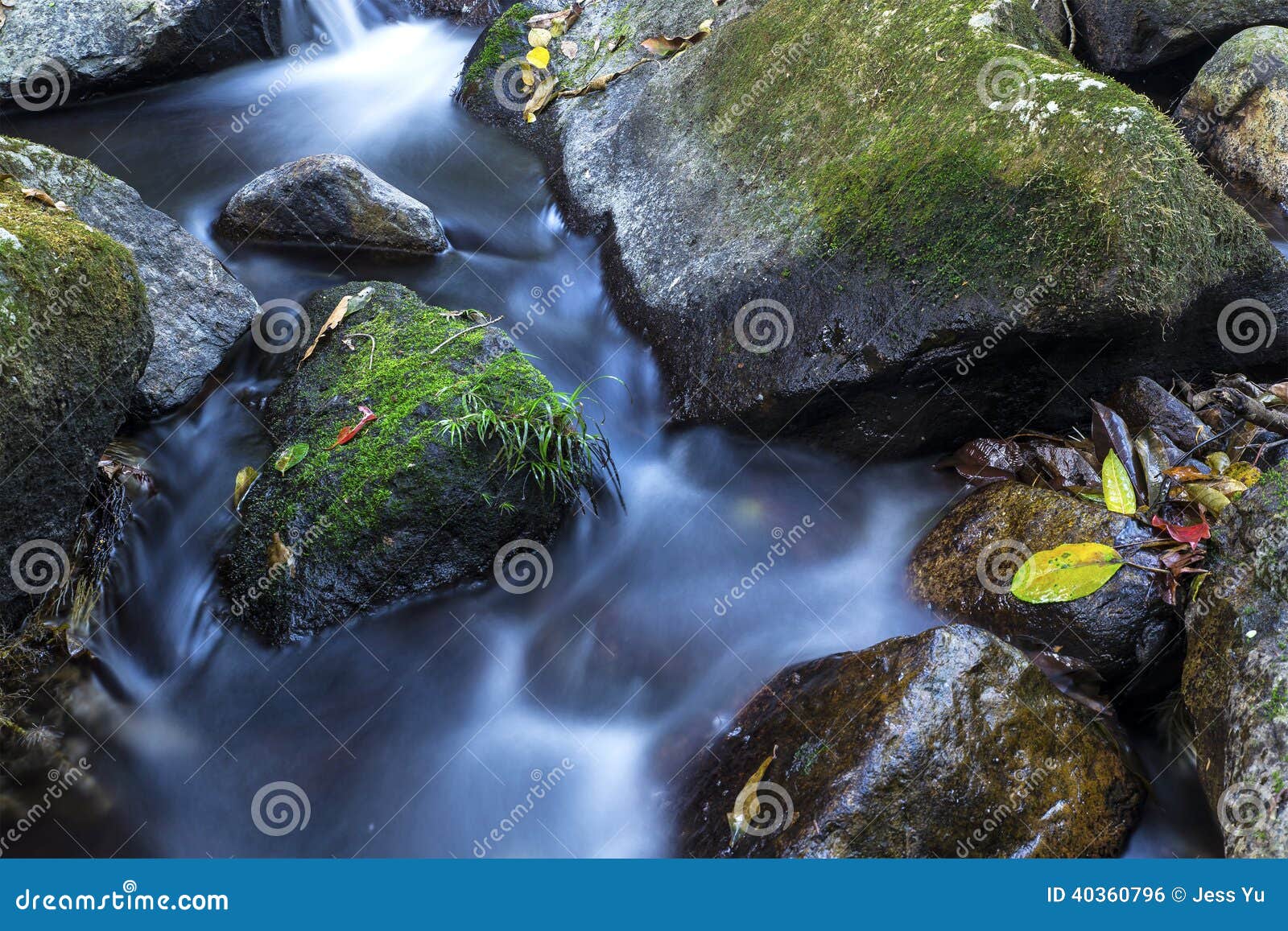 River stream stock photo. Image of environment, natural - 40360796