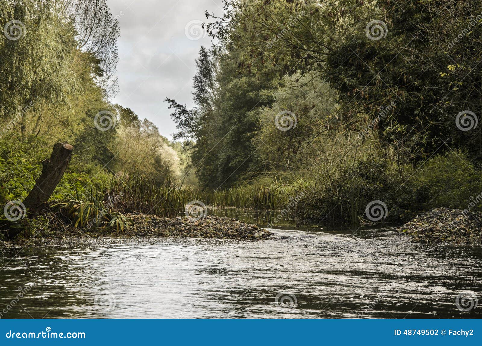 River stream landscape stock photo. Image of water, fishing - 48749502