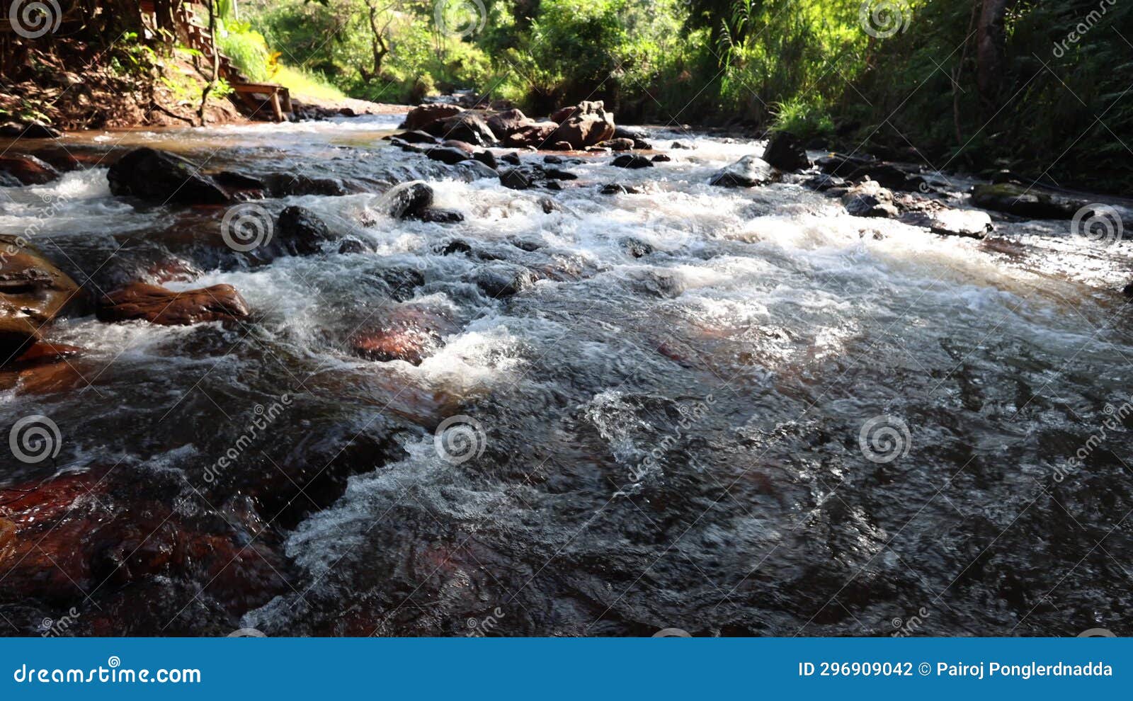 River Stream in the Mountains. Stock Footage - Video of flora, creek ...