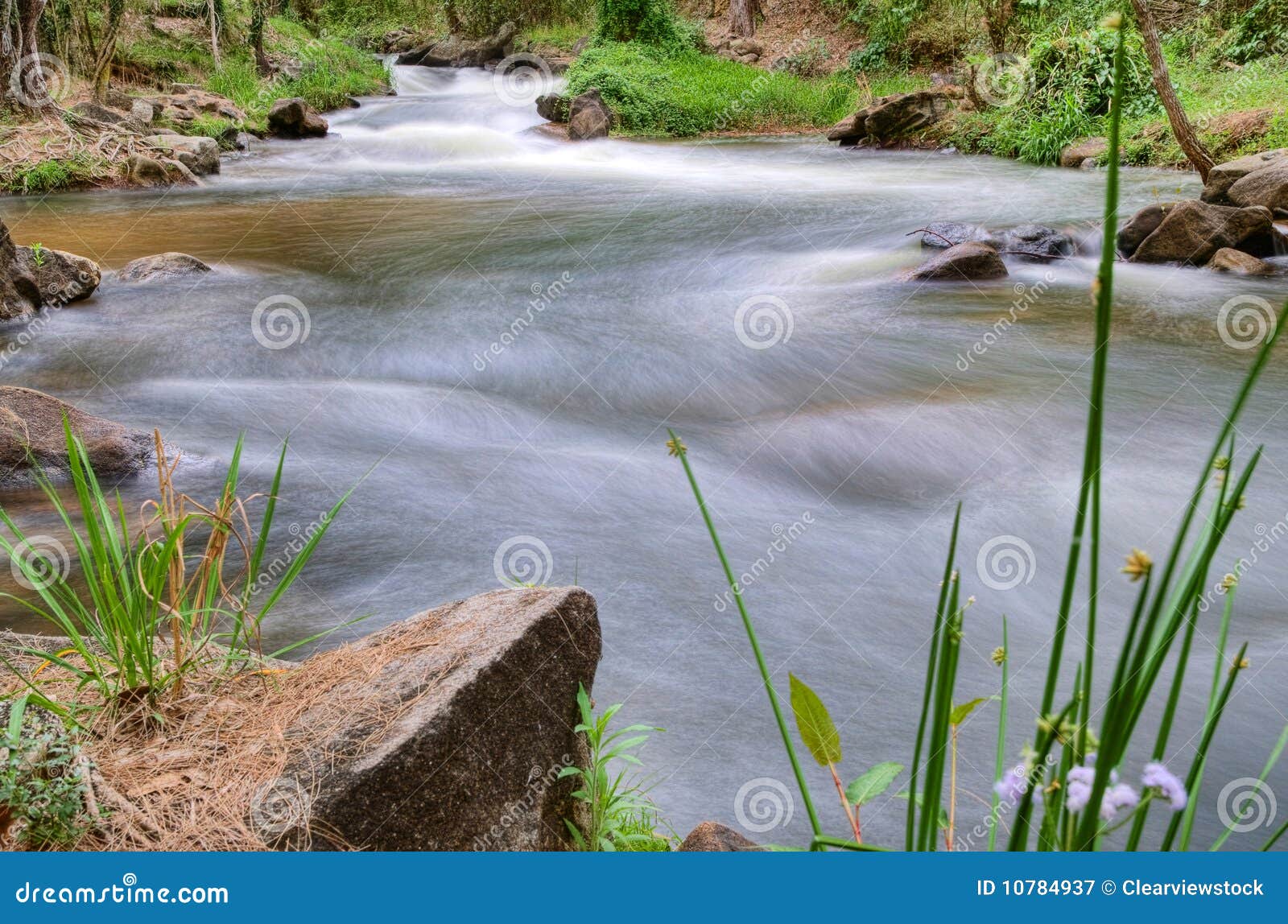 River or Stream Nature Landscape Stock Image - Image of landscape ...