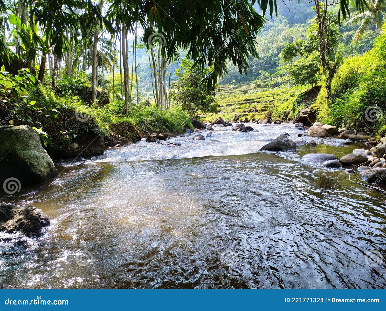 River Stream Nature Mount Cool Stock Photo - Image of water, rapid ...