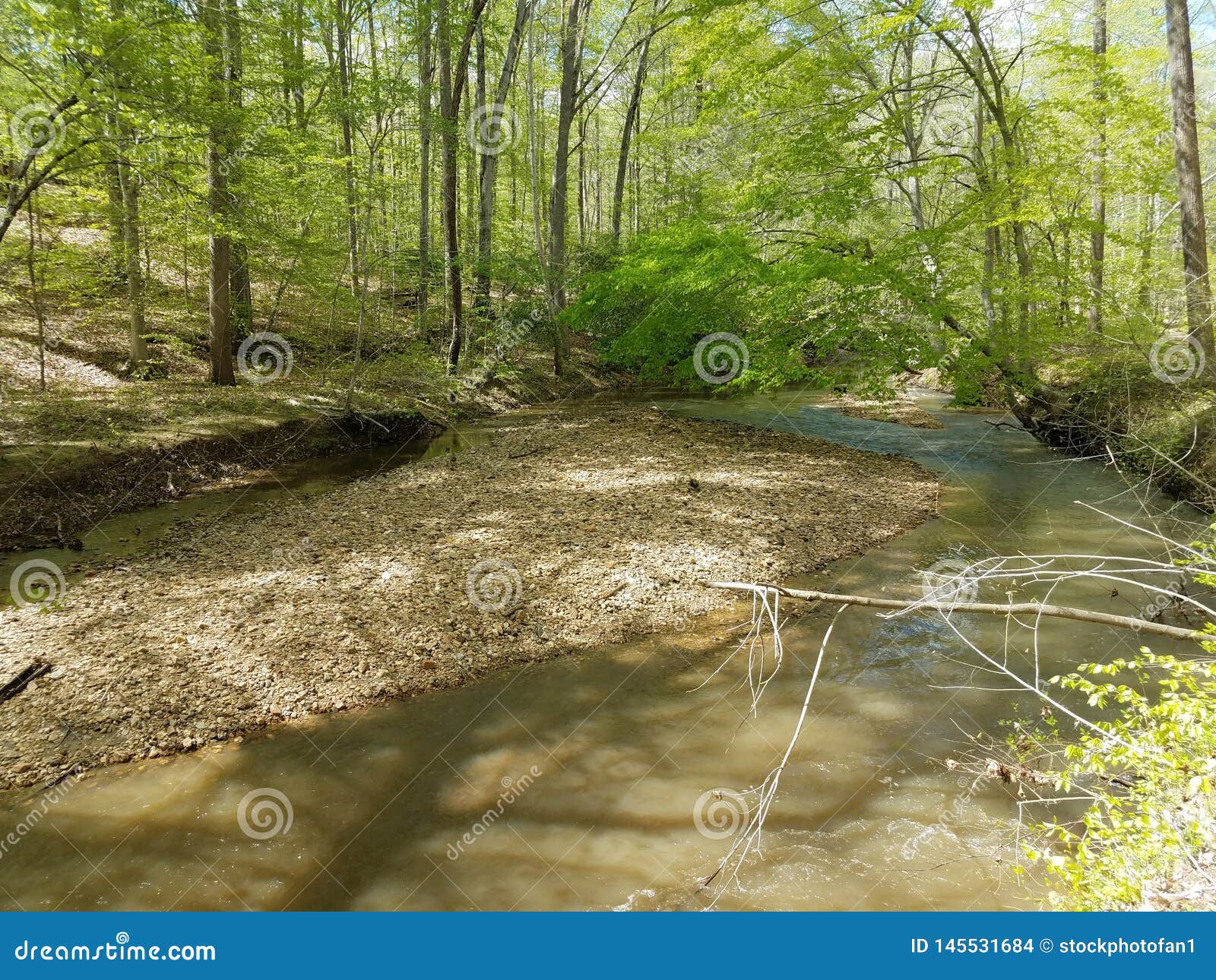 River or Stream with Rocks and Trees in Forest Stock Photo - Image of ...