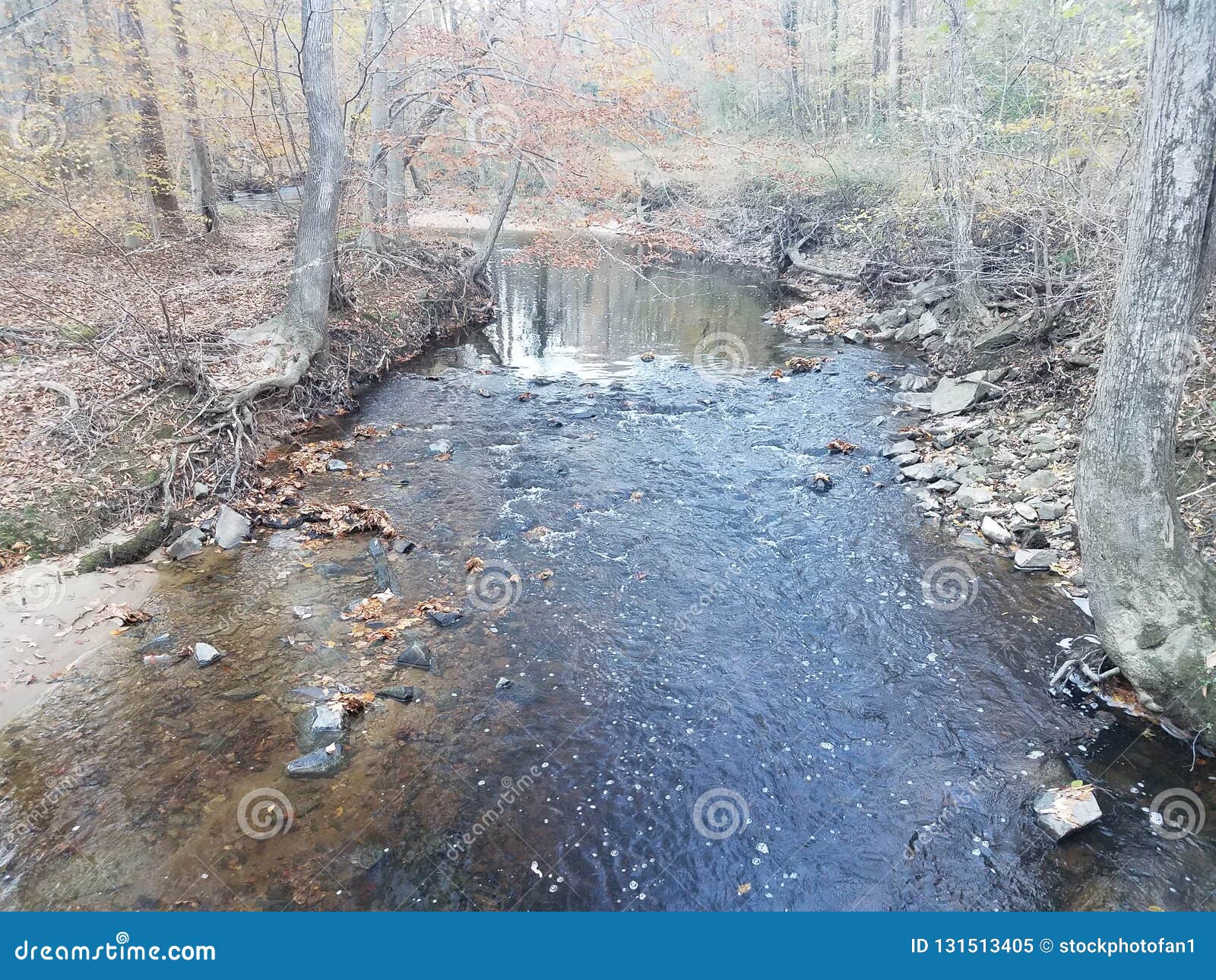 River or Stream with Rocks, Water, and Trees Stock Image - Image of ...