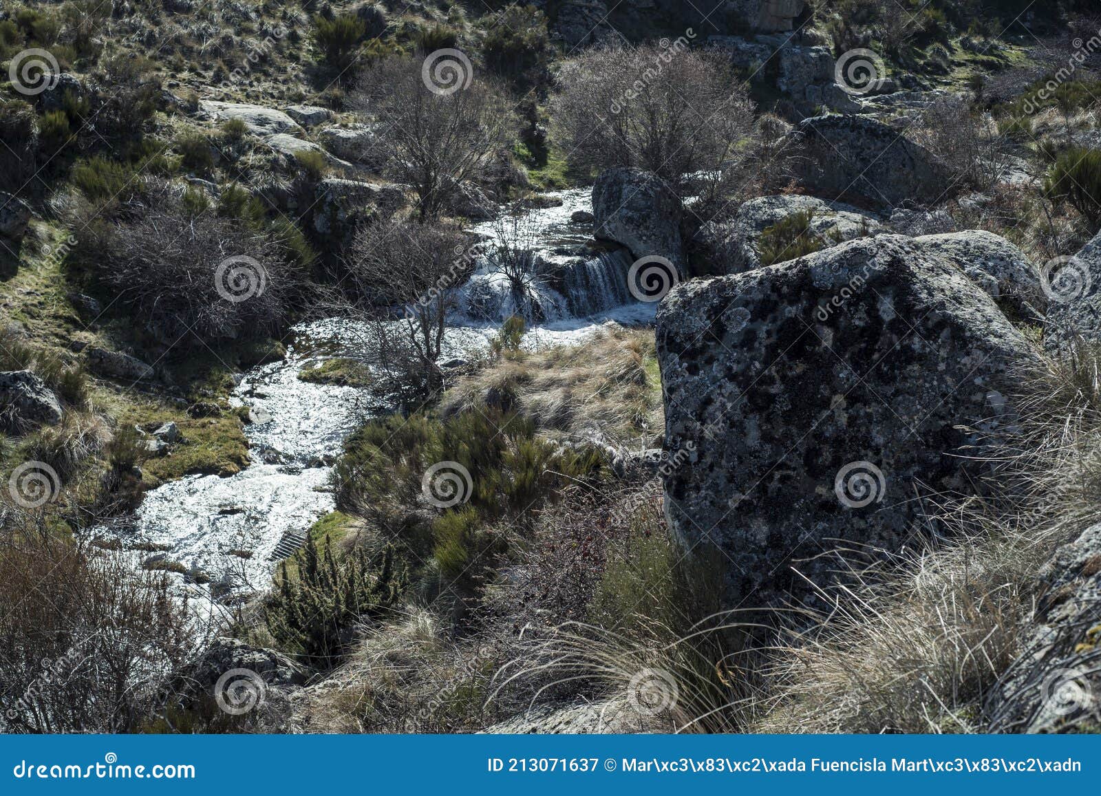 River Stream Surrounded by Rocks and Trees in Riofrio, Avila, Spain ...