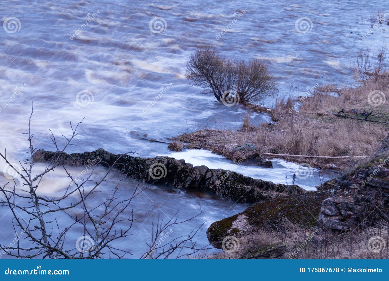 River stream. water flow stock photo. Image of brook - 175867678