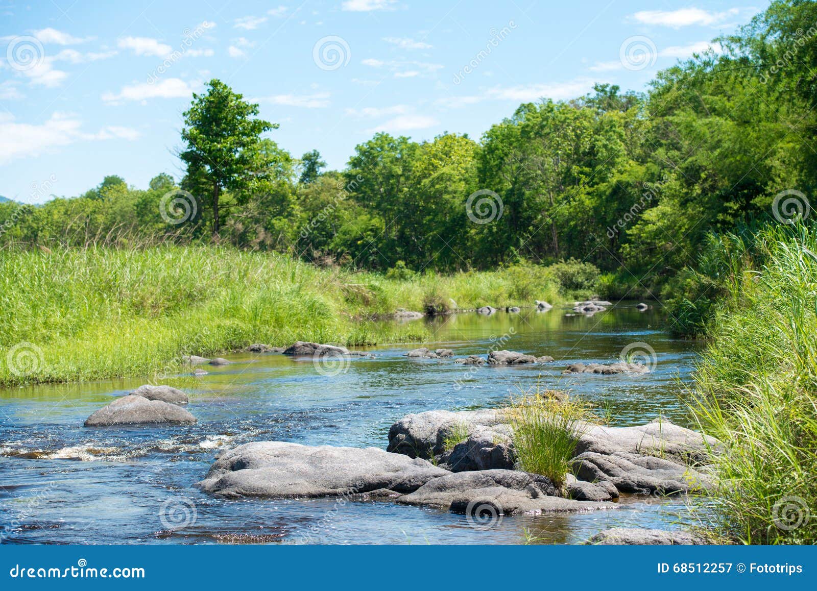 River stream of water stock image. Image of mountain - 68512257