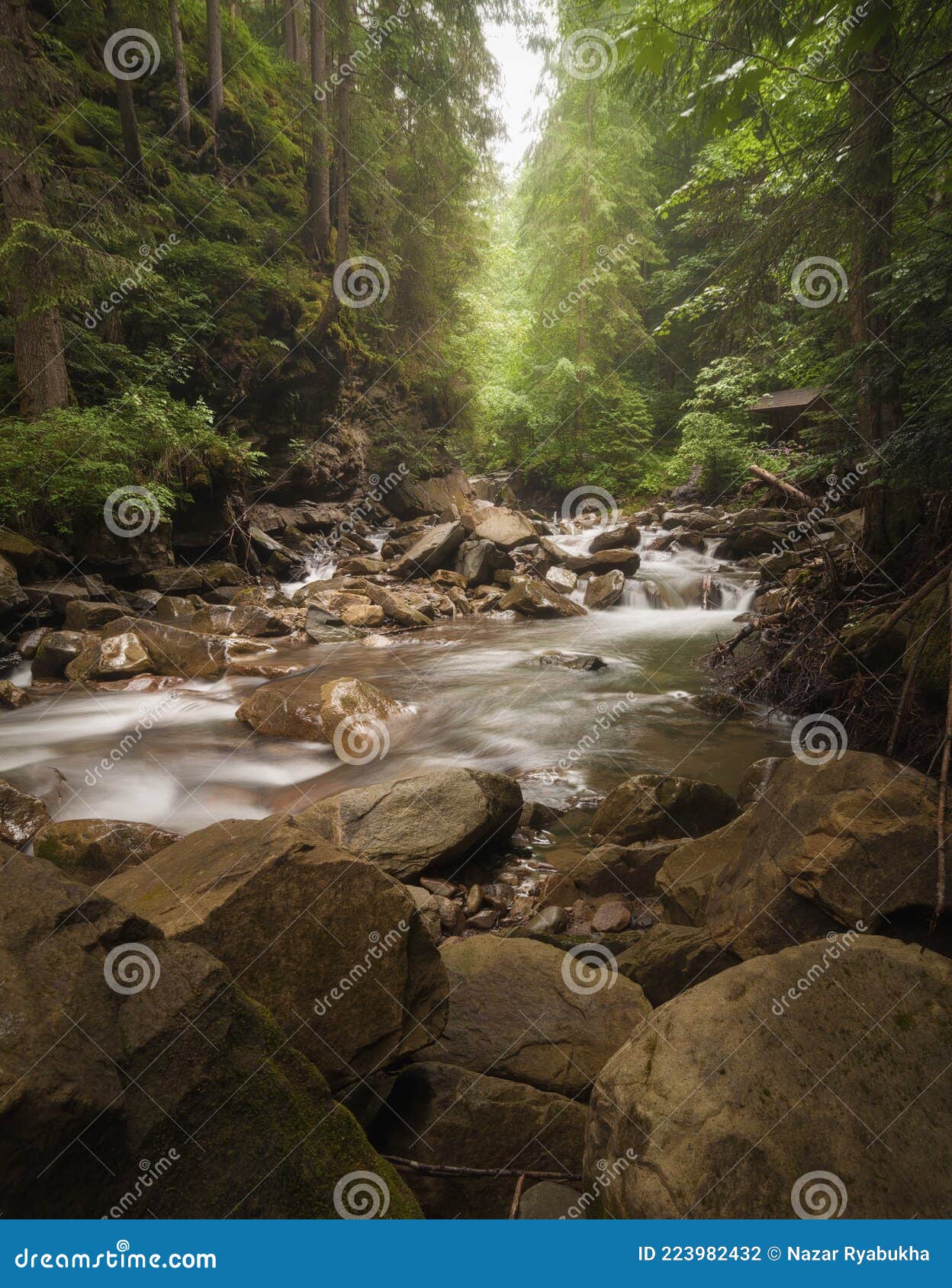 River Stream Waterfall in Forest Landscape. River Stream Stock Photo ...
