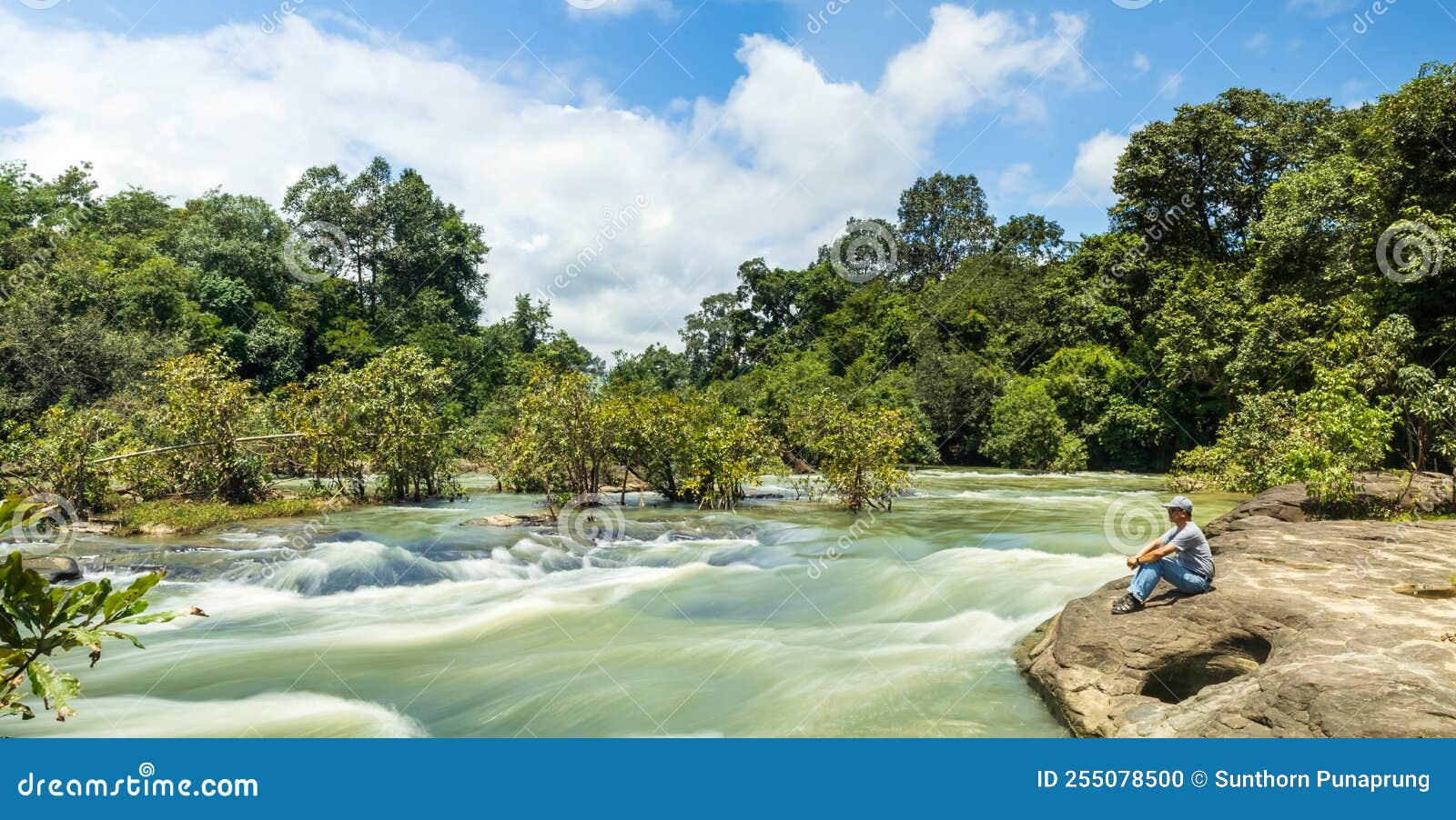 River Stream Waterfall in Forest Landscape Stock Photo - Image of ...