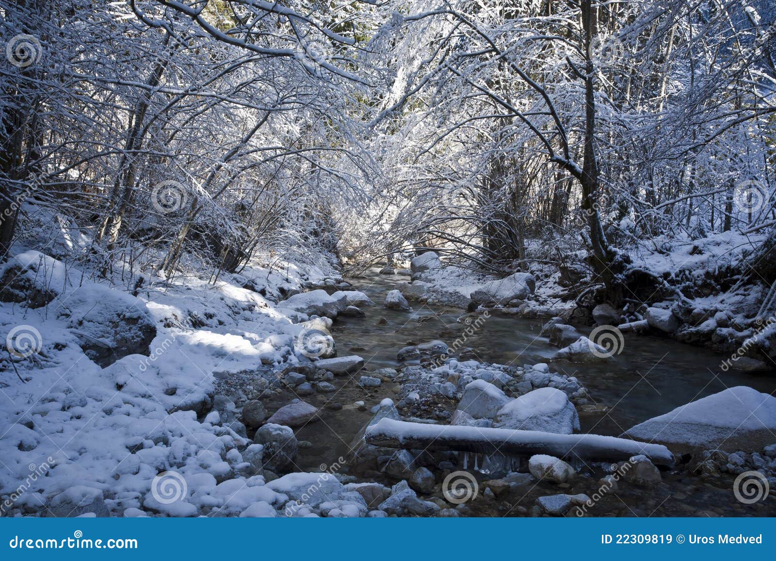 River stream in winter stock image. Image of bush, flake - 22309819