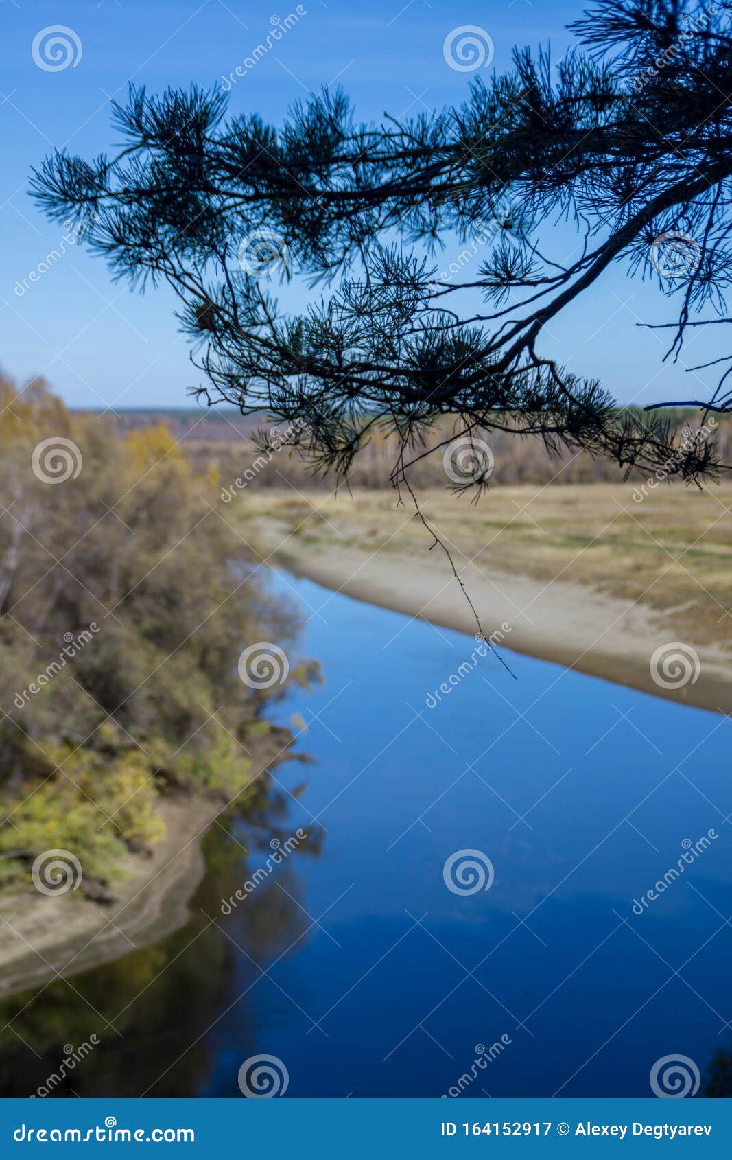 Beautiful River among the Forest and Ravines. among the Birches and ...