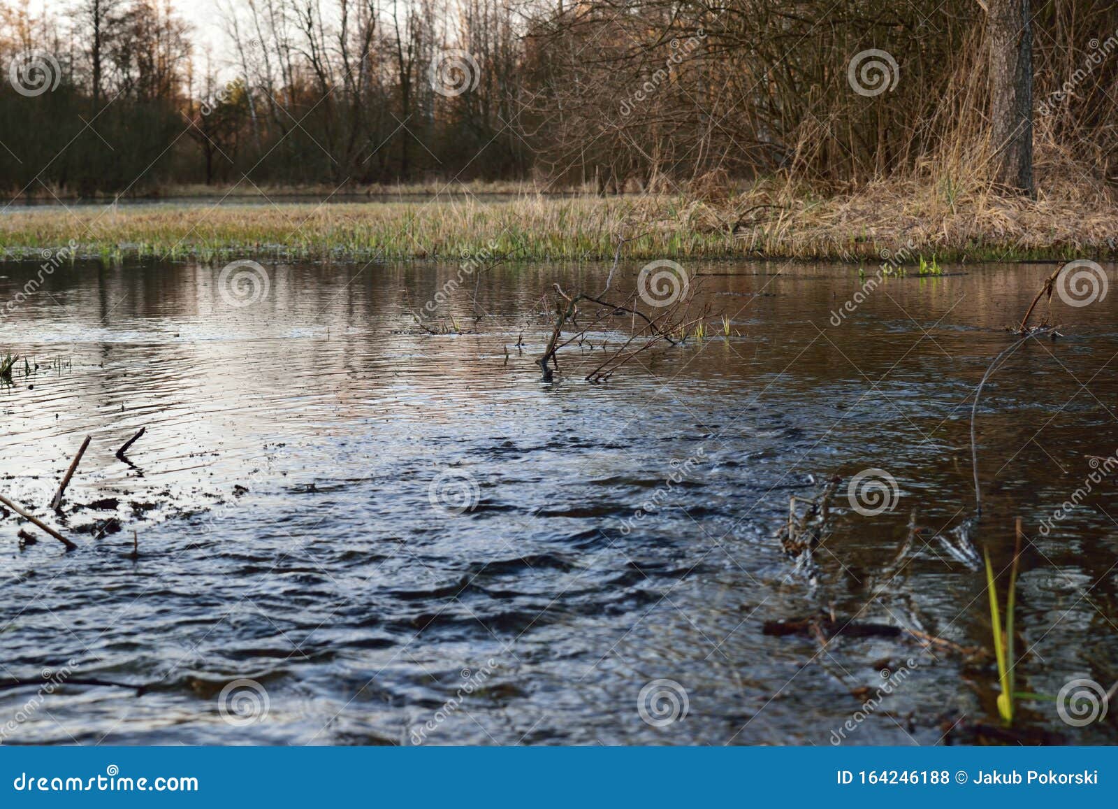 River String Under the Bridge Stock Photo - Image of onwater, string ...