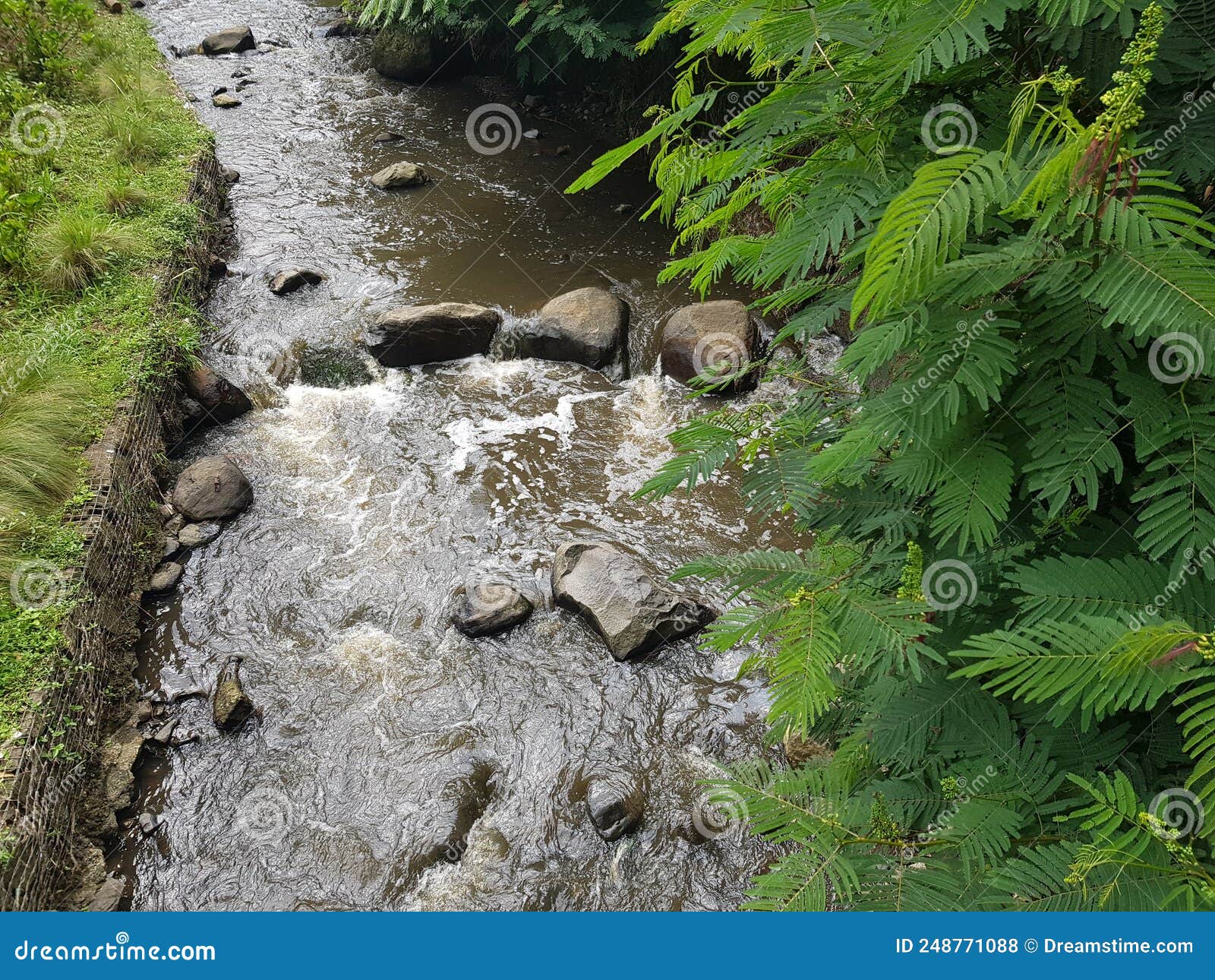 A River with a Strong Current Stock Photo - Image of pond, stream ...
