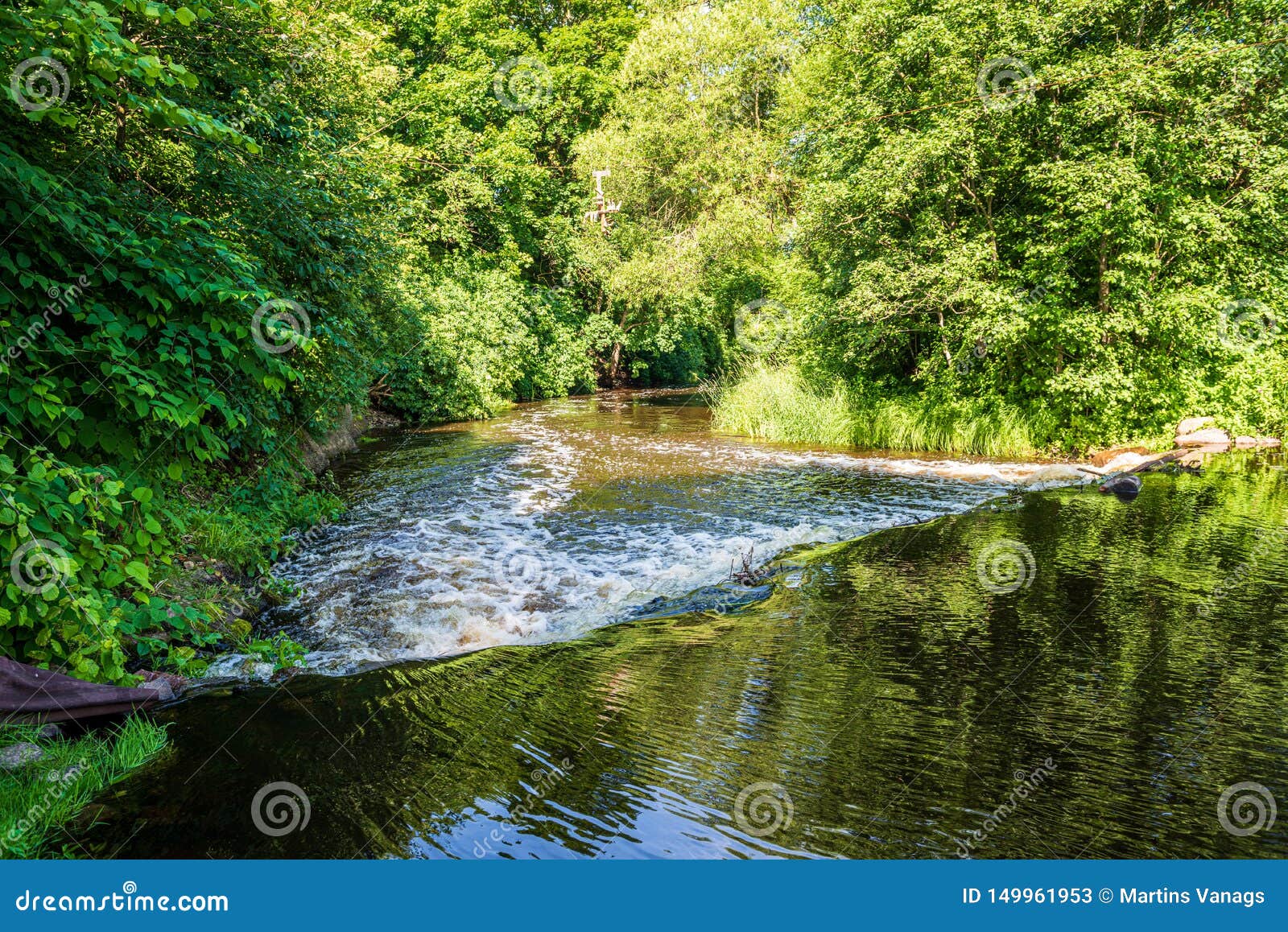 River in Summer Green Shores with Tree Reflections in Water Stock Image ...