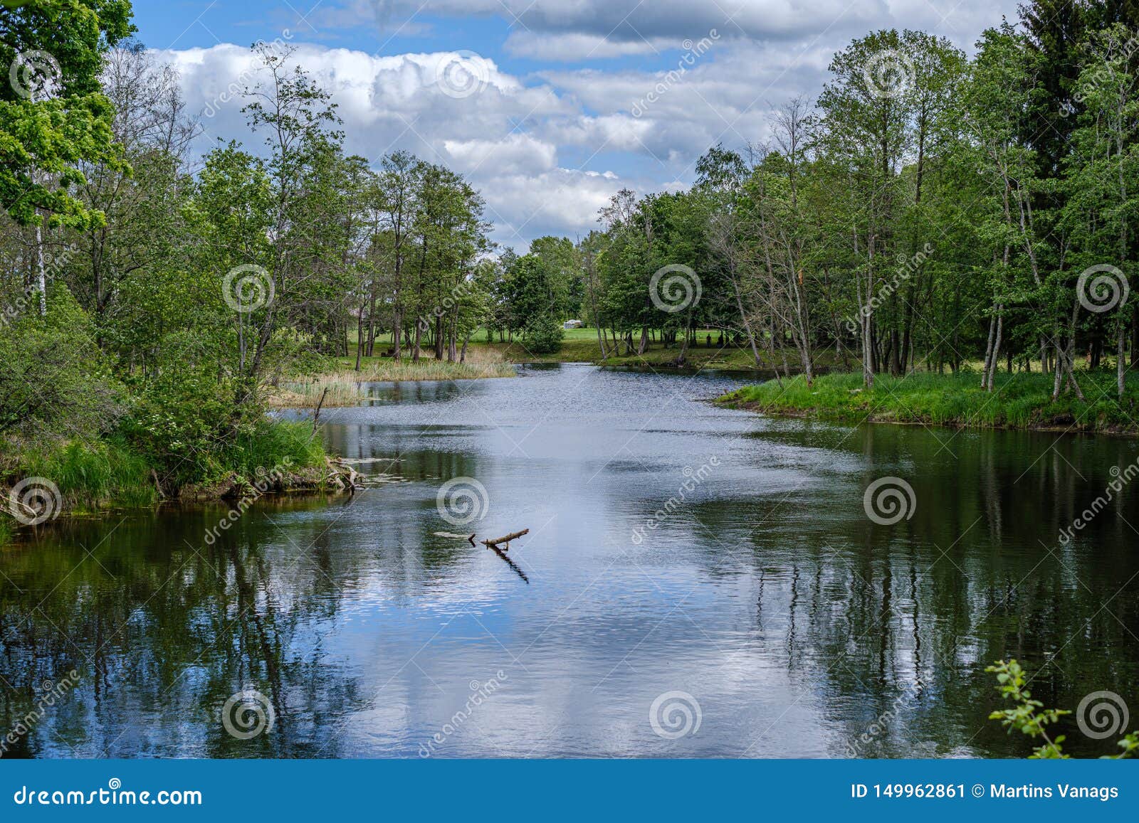 River in Summer Green Shores with Tree Reflections in Water Stock Image ...
