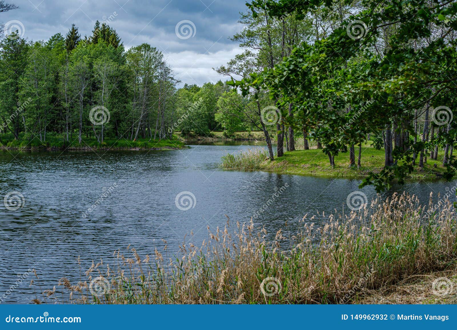 River in Summer Green Shores with Tree Reflections in Water Stock Photo ...