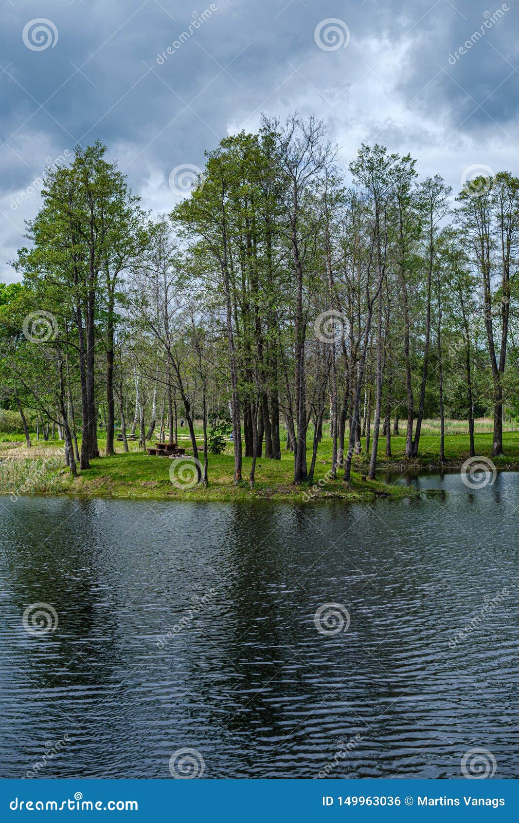 River in Summer Green Shores with Tree Reflections in Water Stock Photo ...