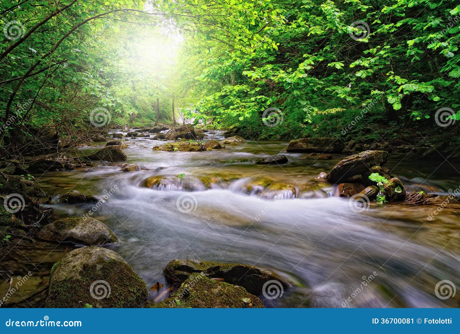 River with sun beam stock image. Image of reserve, leaf - 36700081