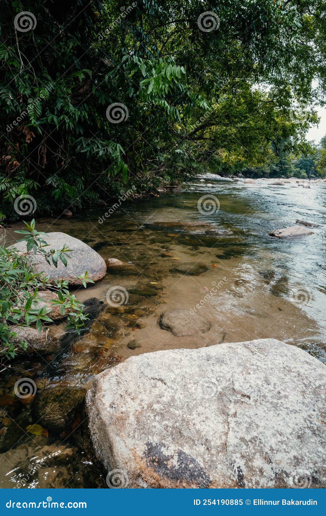 River at Sungai Kampar, Gopeng, Perak Stock Image - Image of nature ...