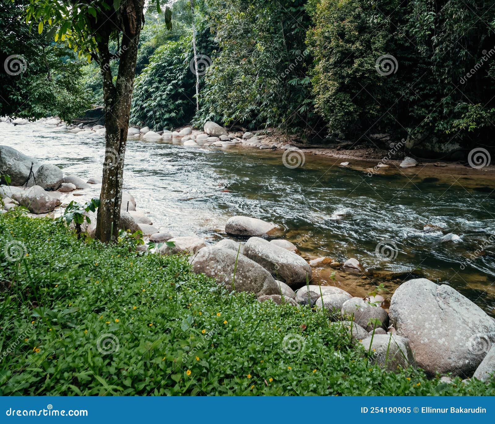 River at Sungai Kampar, Gopeng, Perak Stock Image - Image of water ...