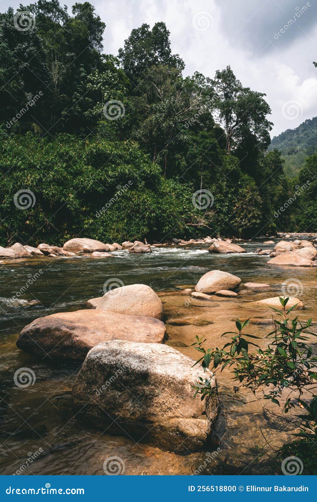 River at Sungai Kampar, Gopeng, Perak Stock Photo - Image of stream ...