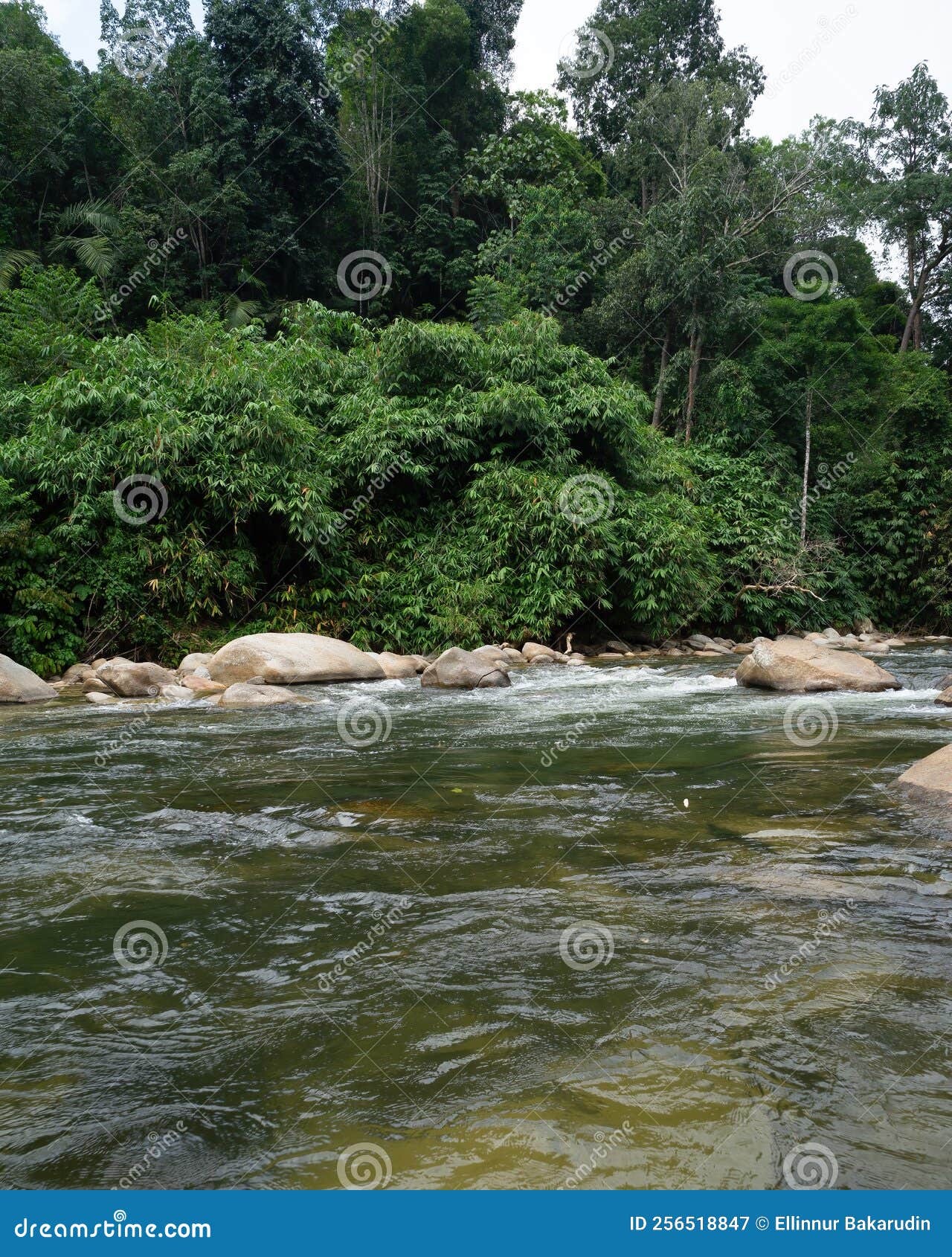 River at Sungai Kampar, Gopeng, Perak Stock Image - Image of moss ...