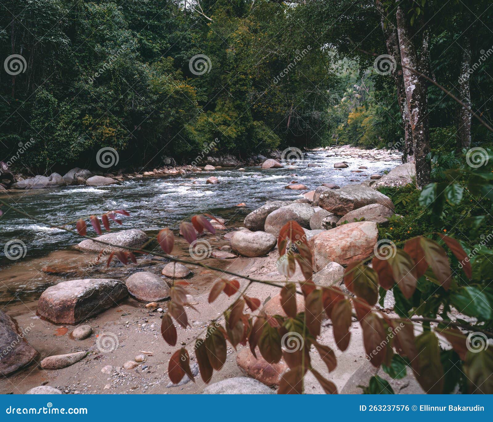 River at Sungai Kampar, Gopeng, Perak Stock Photo - Image of green ...