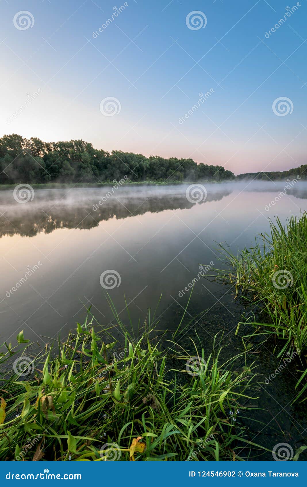 River at Sunrise. the Mist Over the Water. the Vertical Frame Stock ...