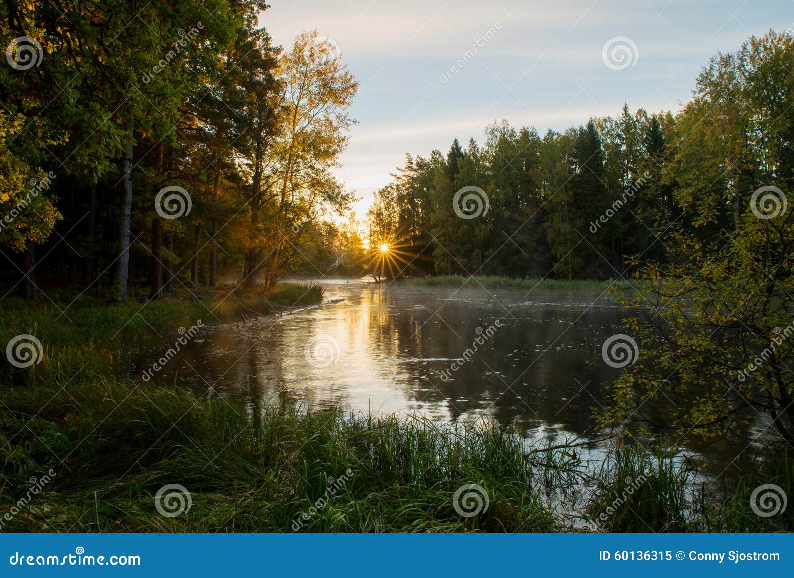 River in sunrise stock image. Image of countryside, scandinavia - 60136315