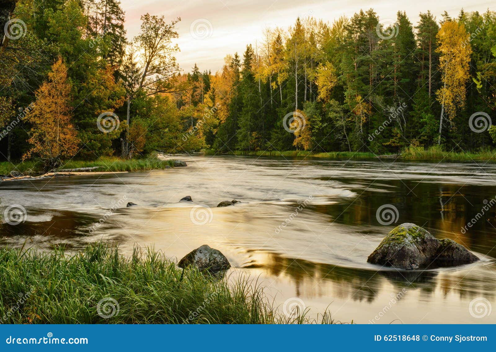 River in sunrise stock photo. Image of reflection, colorful - 62518648
