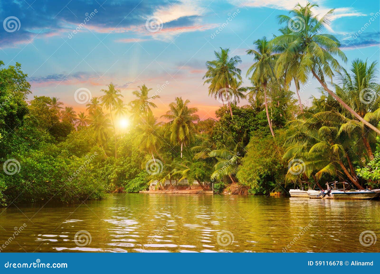 River, Sunrise and Tropical Palms Stock Photo - Image of lake ...