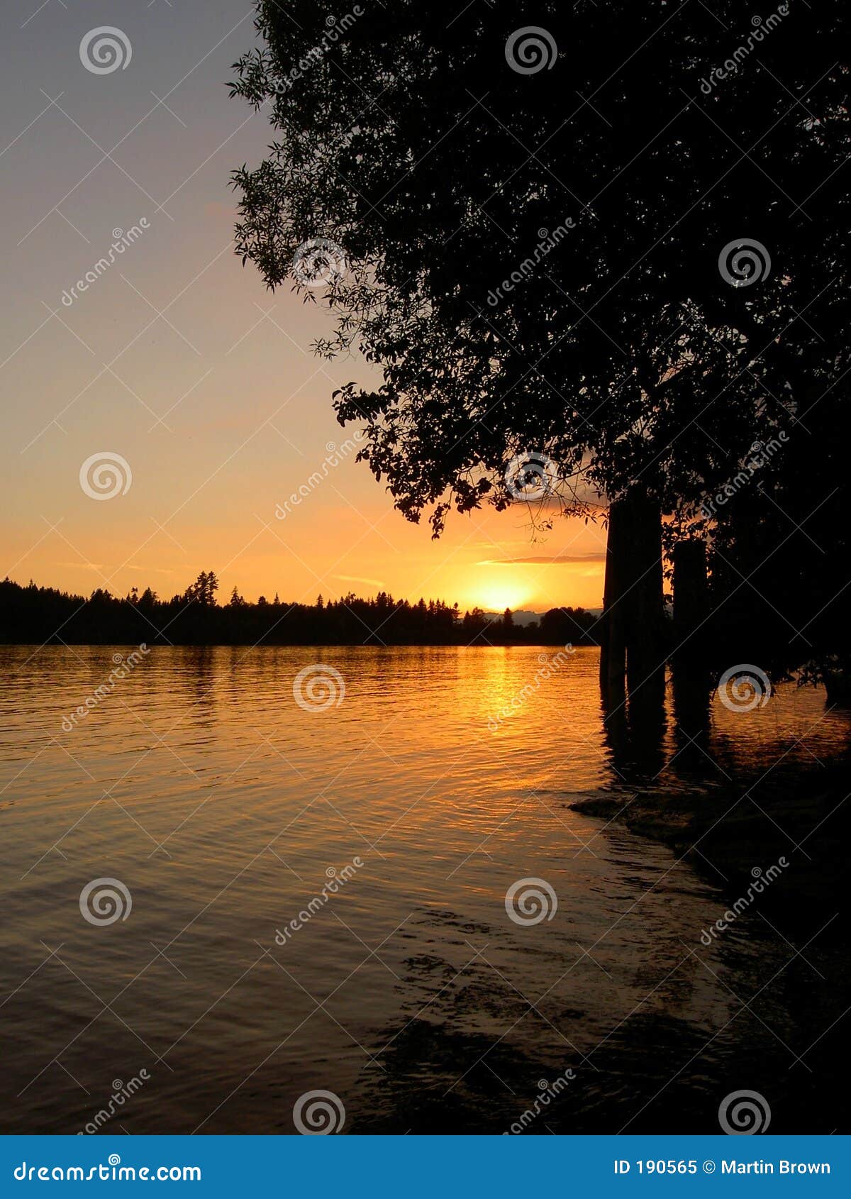 River Sunset stock image. Image of river, sunset, silhouette - 190565