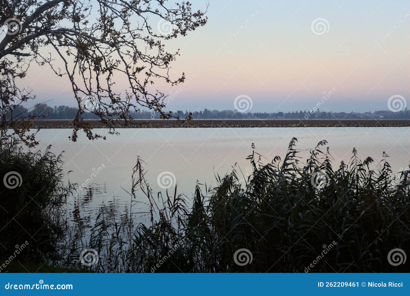 River at Sunset with a Shore that Stretches on the Horizon Framed by a ...