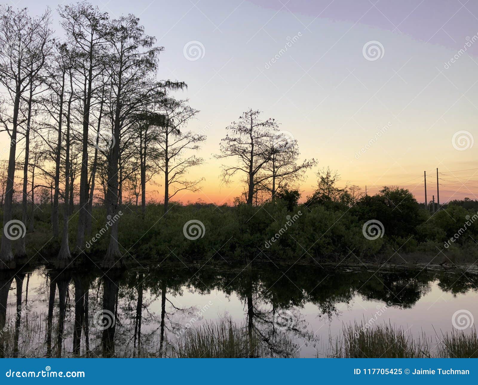 River at Sunset in the Swamp Stock Image - Image of lake, okeefenofee ...
