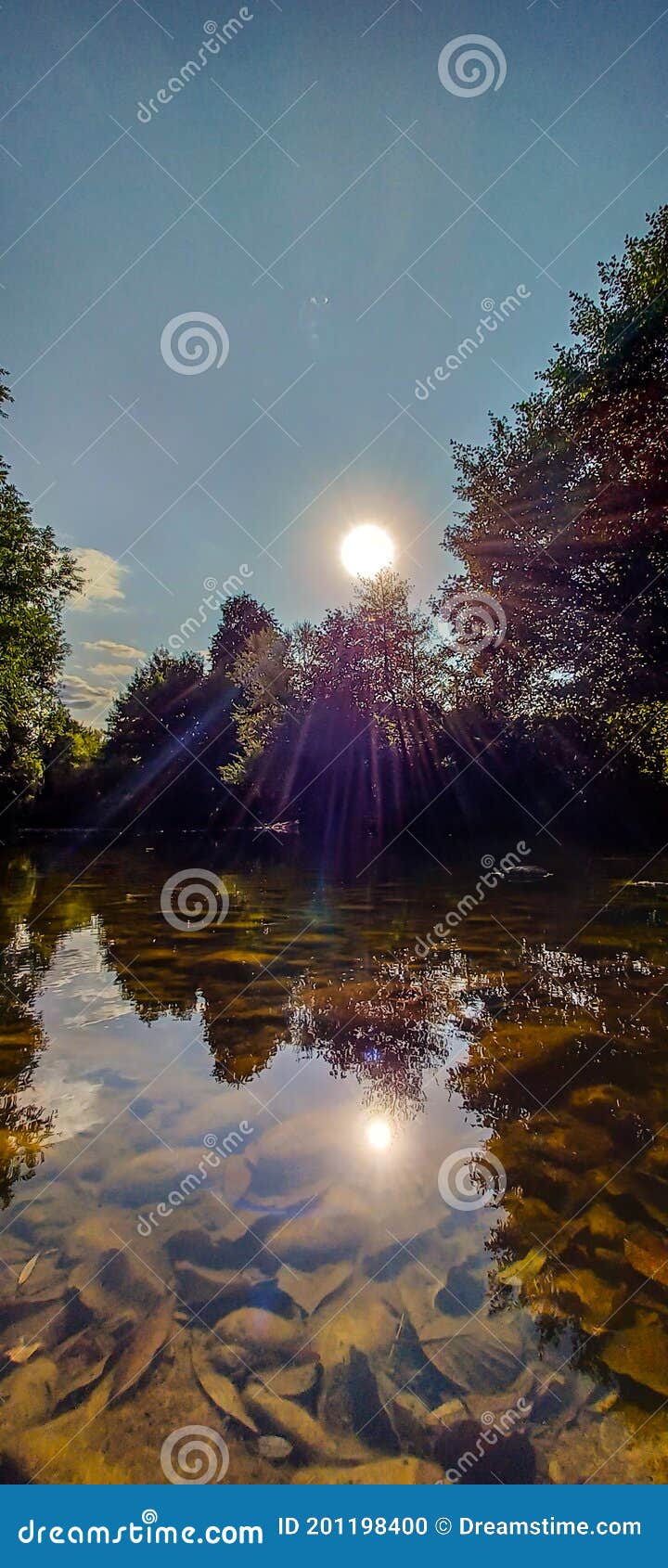 River and sunshine ðŸŒž stock photo. Image of river - 201198400