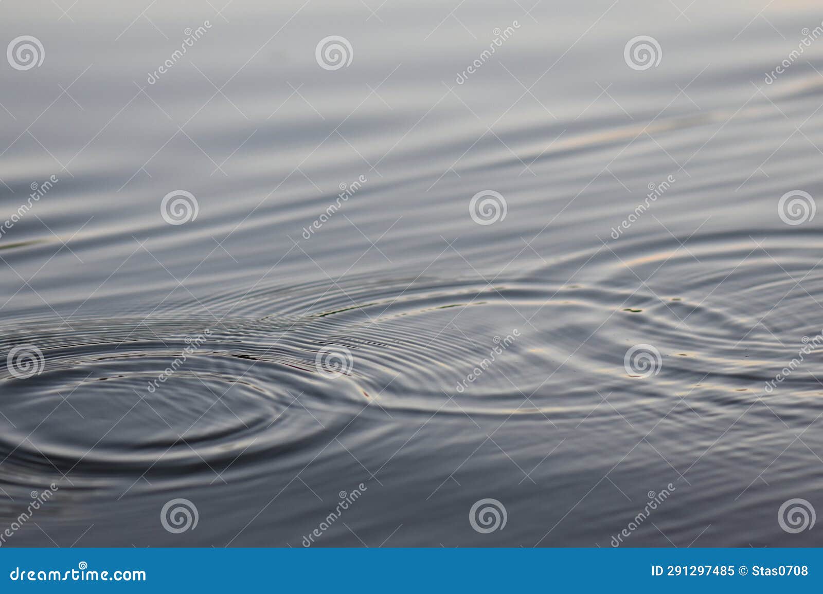 River Surface with Circles after Fallen Drops Stock Image - Image of ...