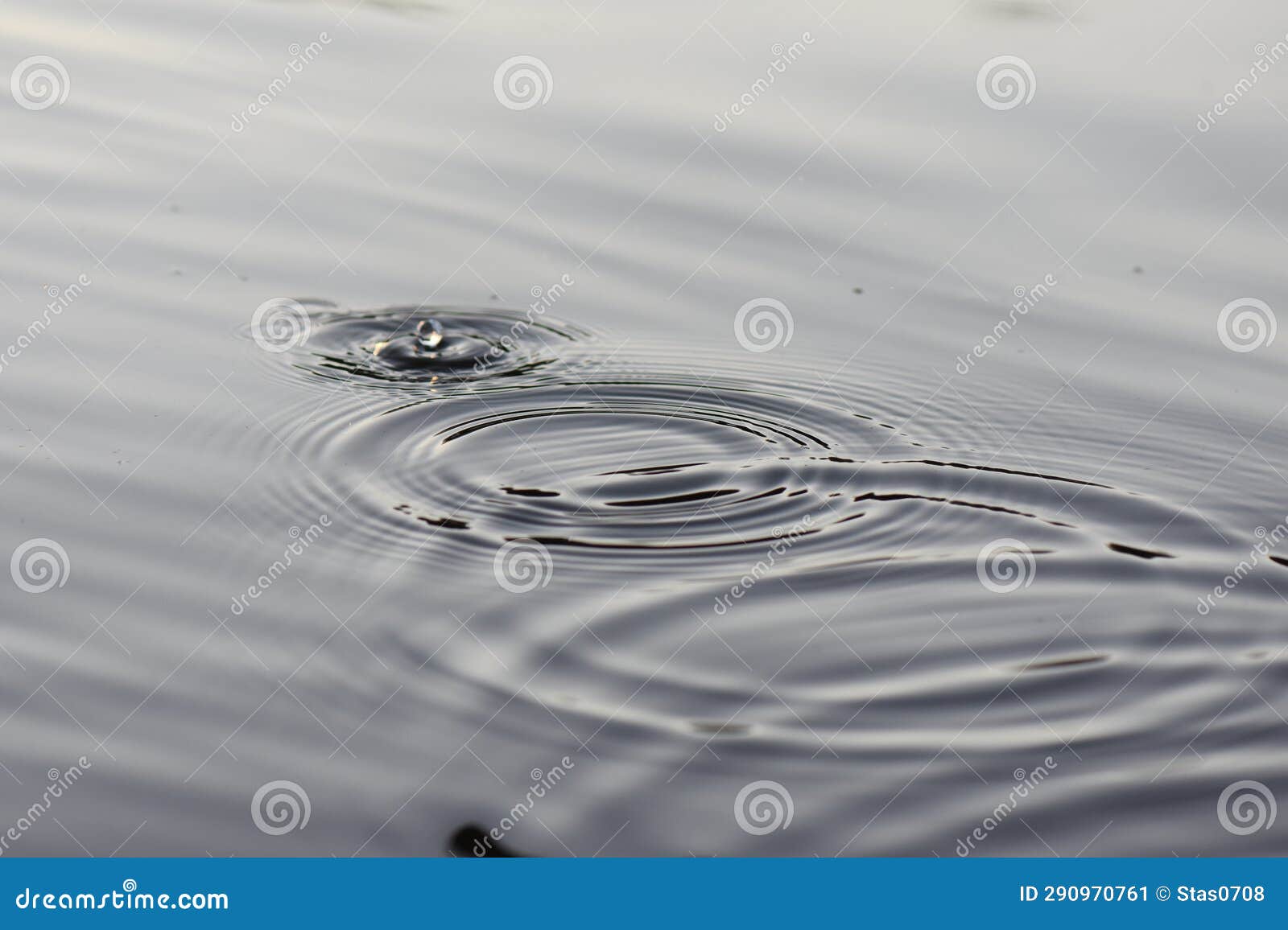 River Surface with Circles after Fallen Drops Stock Image - Image of ...