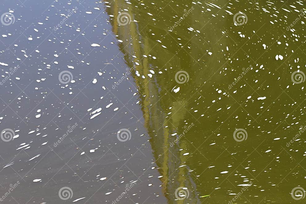 River surface under bridge stock image. Image of surface - 233972029
