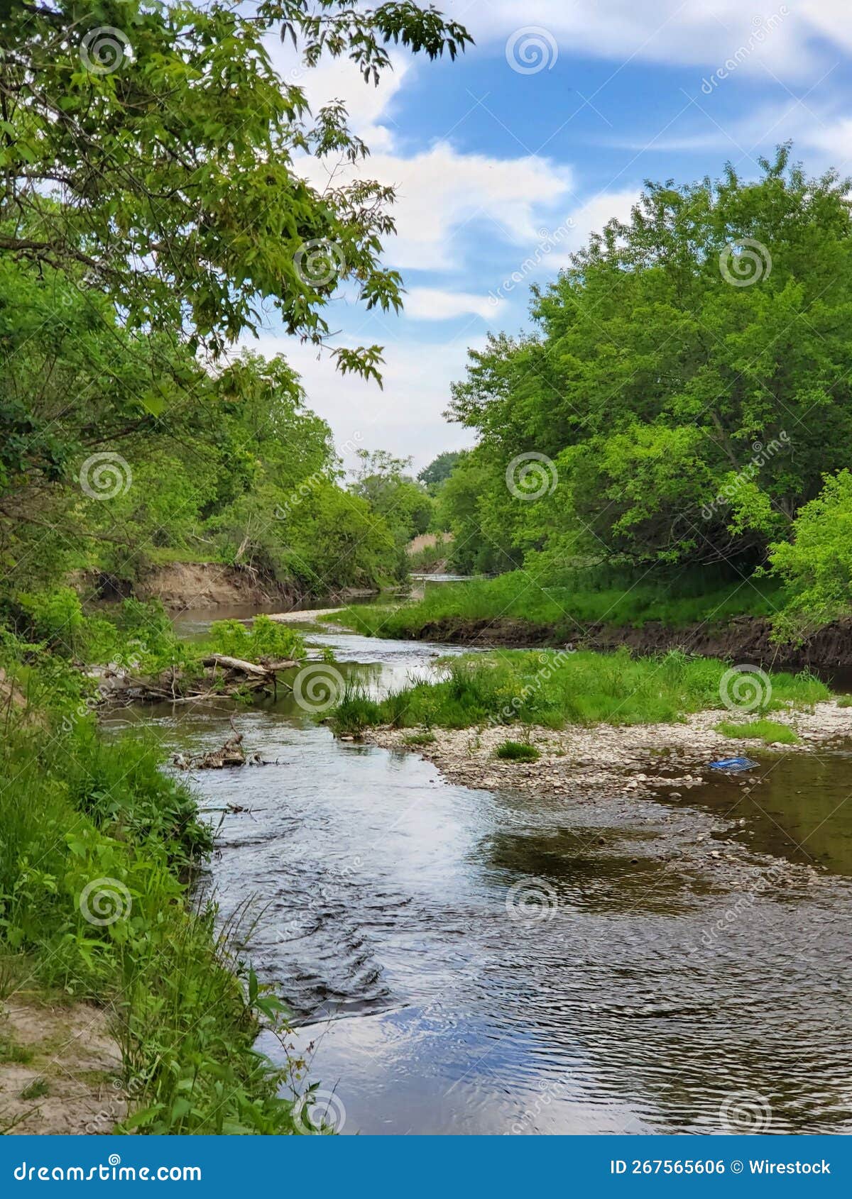 River Surrounded by Green Vegetation. Stock Photo - Image of hiking ...