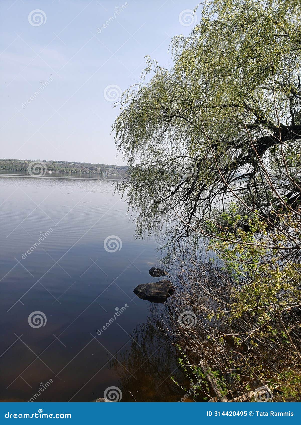River Surrounded by Greenery Under Clear Blue Sky Stock Image - Image ...
