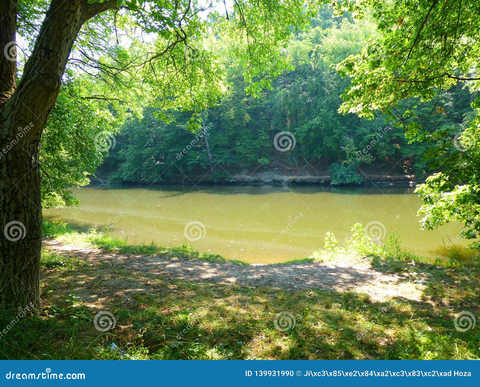 River Surrounded by Various Trees and Plants Stock Photo - Image of ...