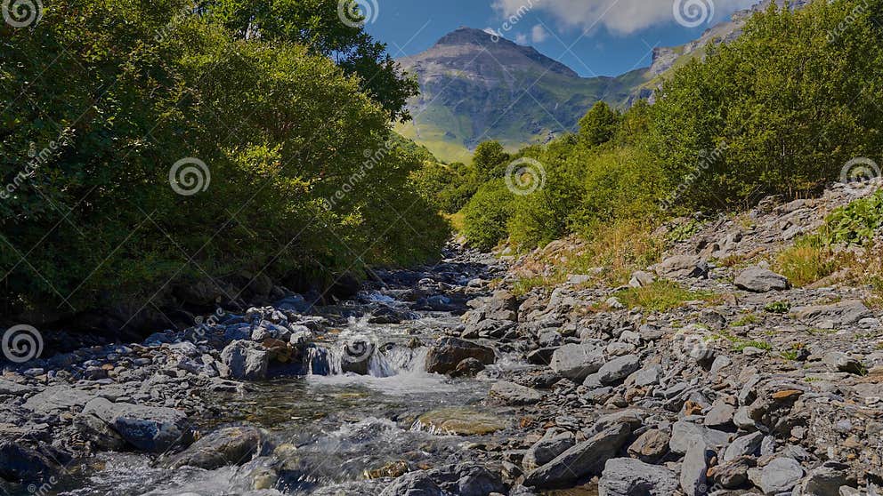 River in the Swiss Alps stock image. Image of foliage - 295274621