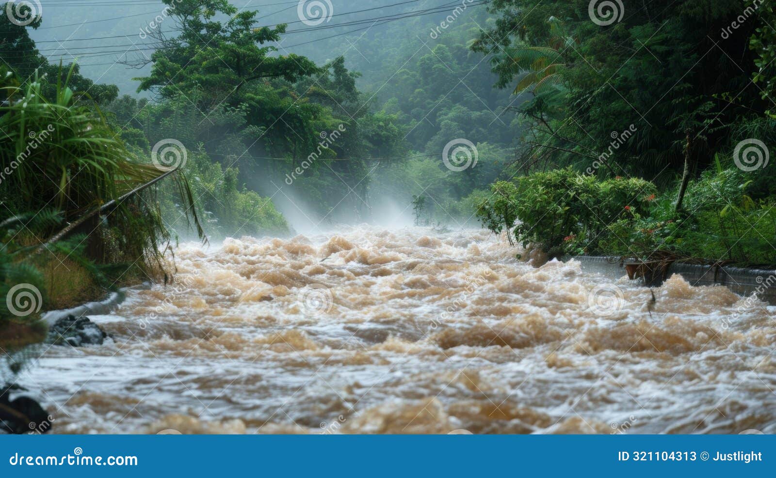 A River Swollen and Rushing Carrying Debris from the Heavy Monsoon ...