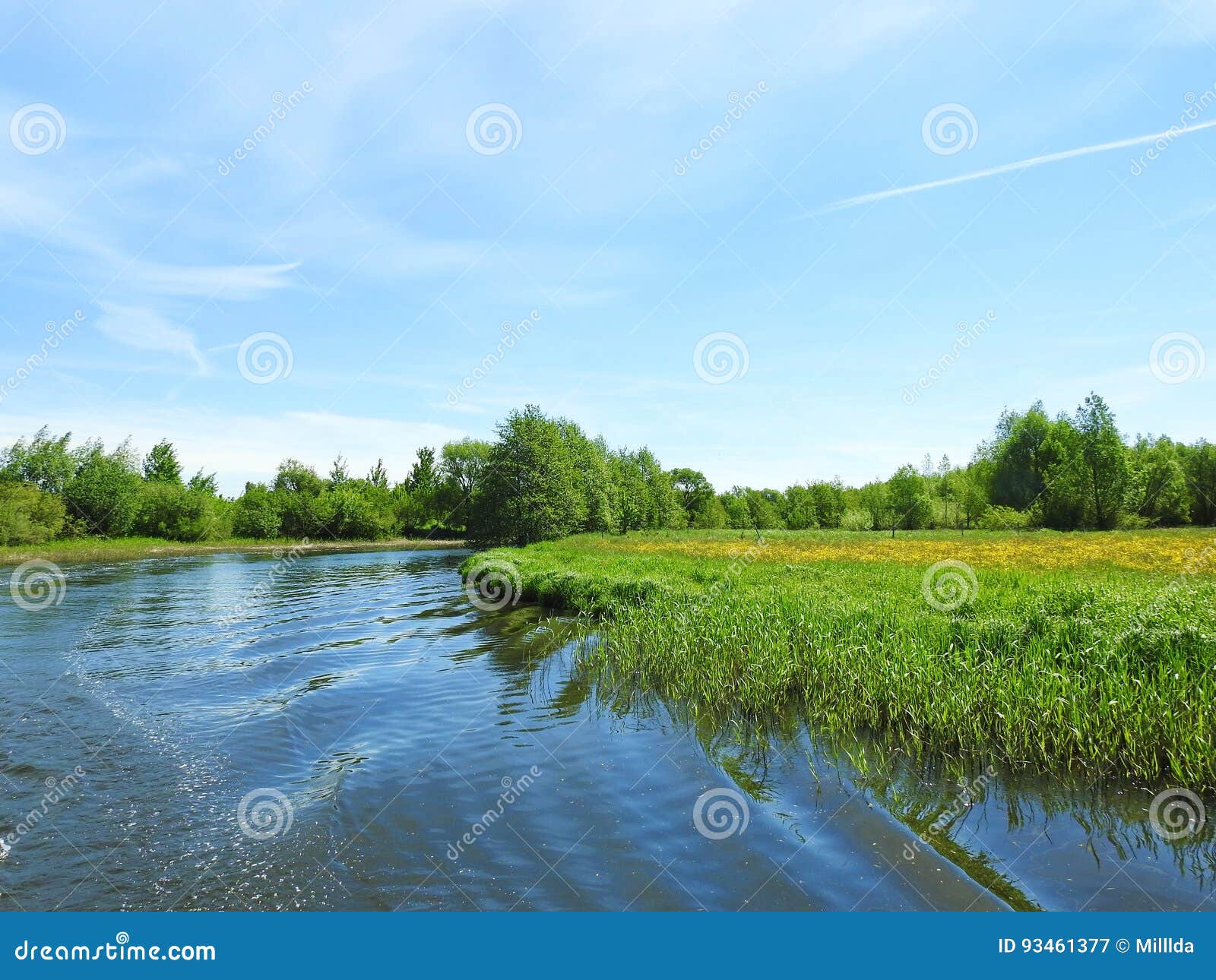 River Sysa and Spring Trees , Lithuania Stock Image - Image of view ...