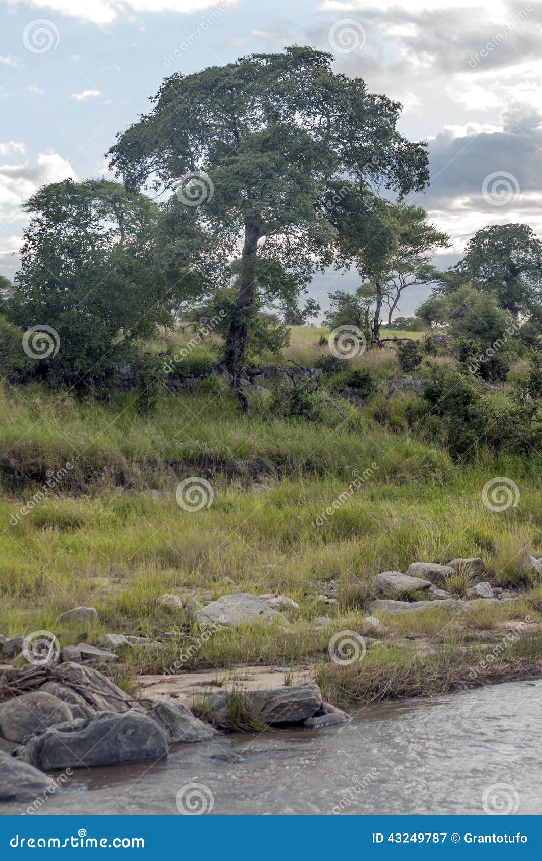 River in Tanzania stock image. Image of exoticism, east - 43249787