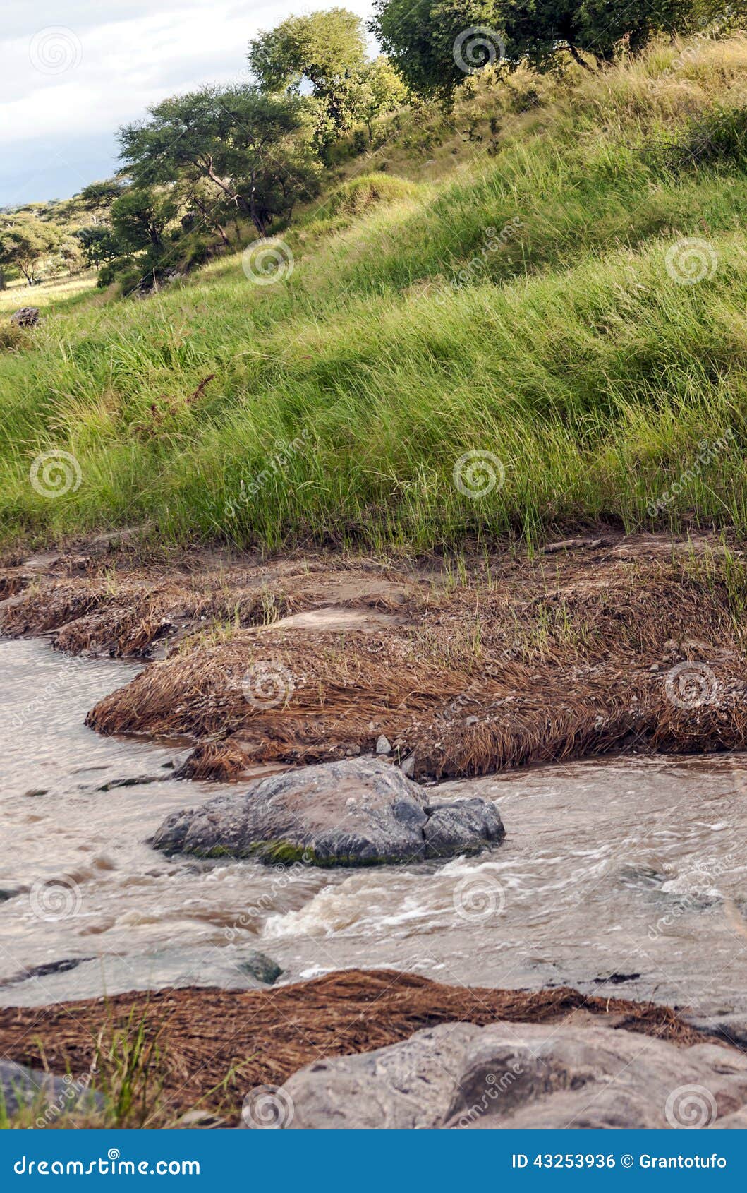 River of Tanzania stock photo. Image of outdoors, african - 43253936