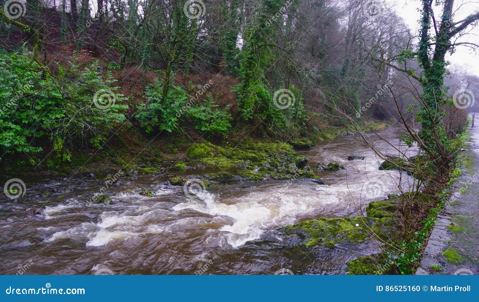 The River Tavy. stock photo. Image of devon, river, kingdom - 86525160