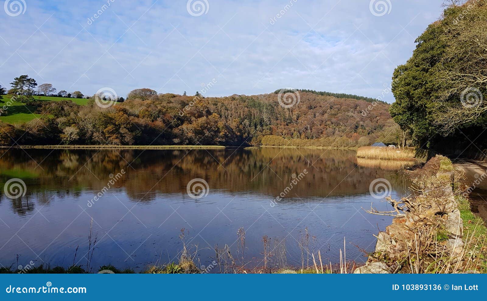 River Tavy At Bere Ferrers, Devon Uk Stock Photo | CartoonDealer.com ...
